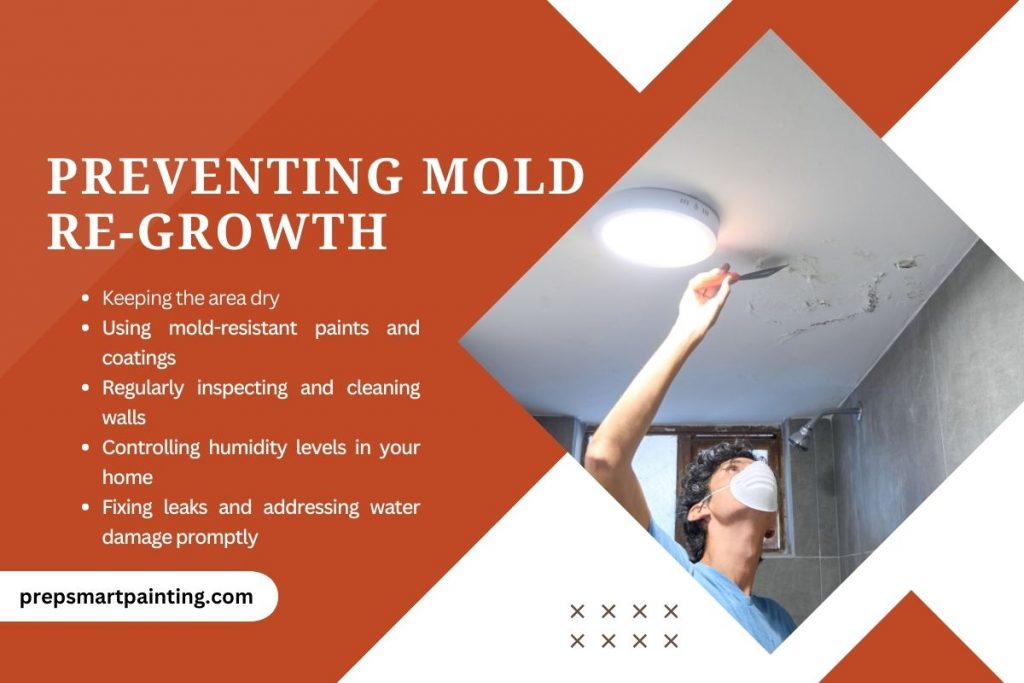 Expert Tips on How to Remove Mold from Walls